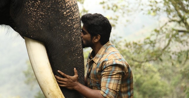 Kumki 2 streaming: where to watch movie online?