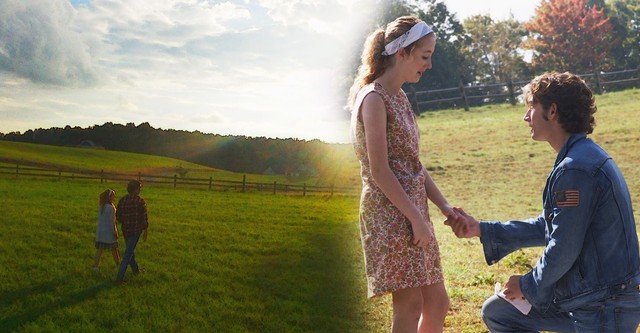 Timeless Love - película: Ver online en español