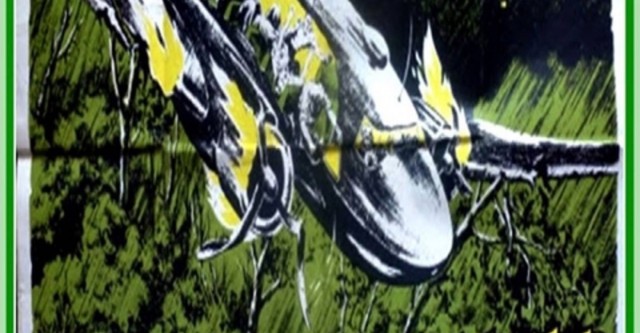 Flight from Singapore - movie: watch stream online