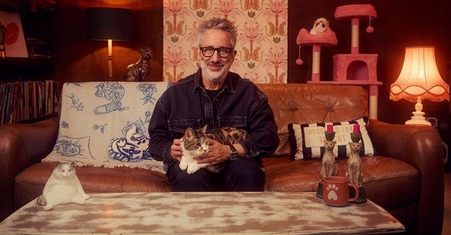 David Baddiel: Cat Man - streaming tv series online