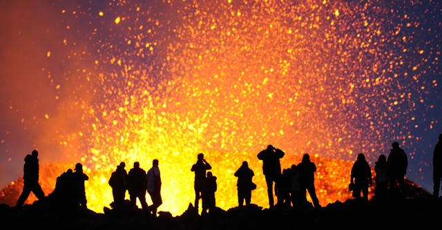 The Human Element streaming: where to watch online?