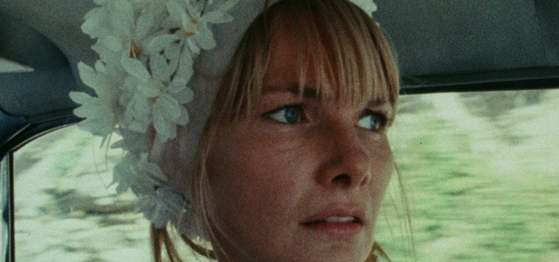 Wanda filme - Veja onde assistir online