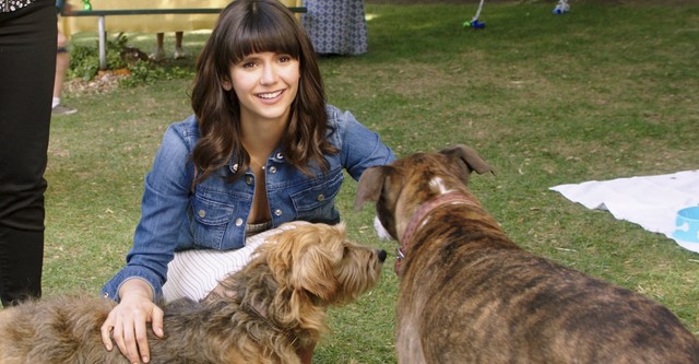 Dog Days streaming: where to watch movie online?