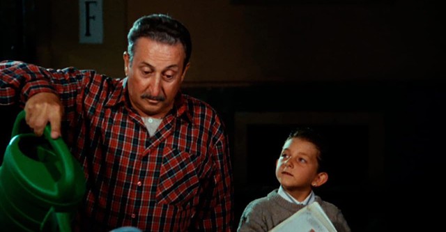 Ci hai rotto papà - film: guarda streaming online