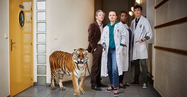 Où regarder la série HP en streaming