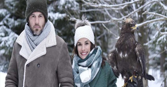 Love in Vienna - movie: watch streaming online