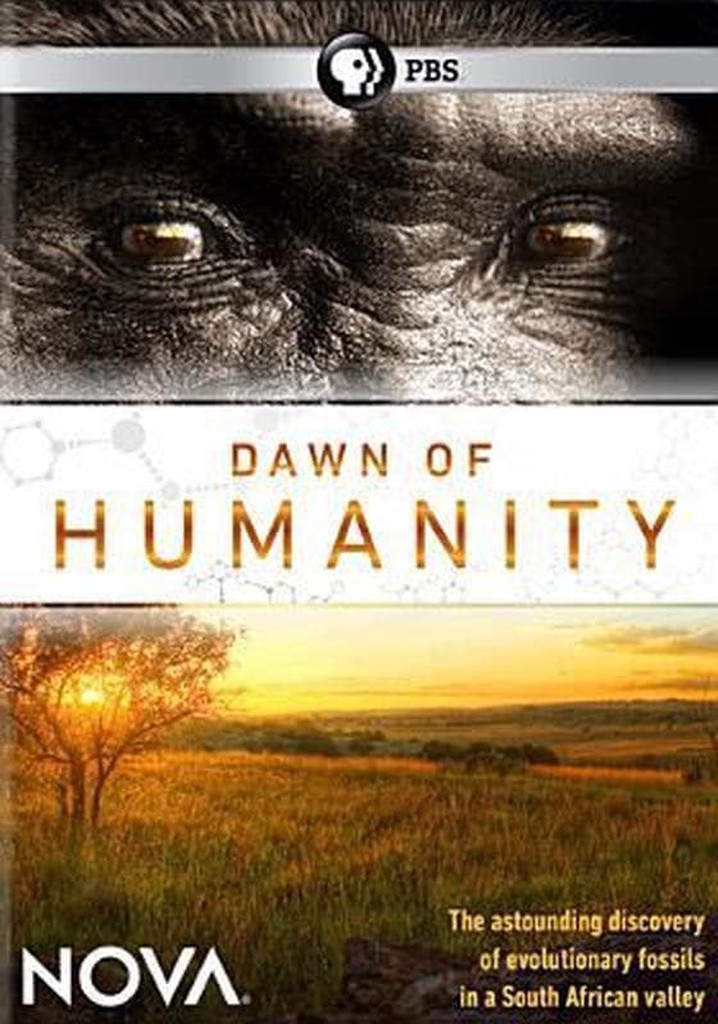 Dawn of Humanity streaming: where to watch online?
