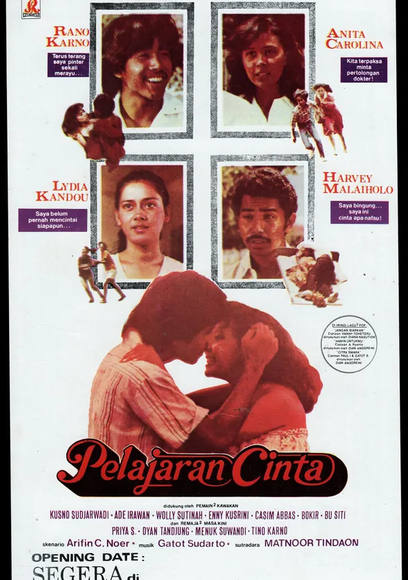 Love Lesson streaming: where to watch movie online?