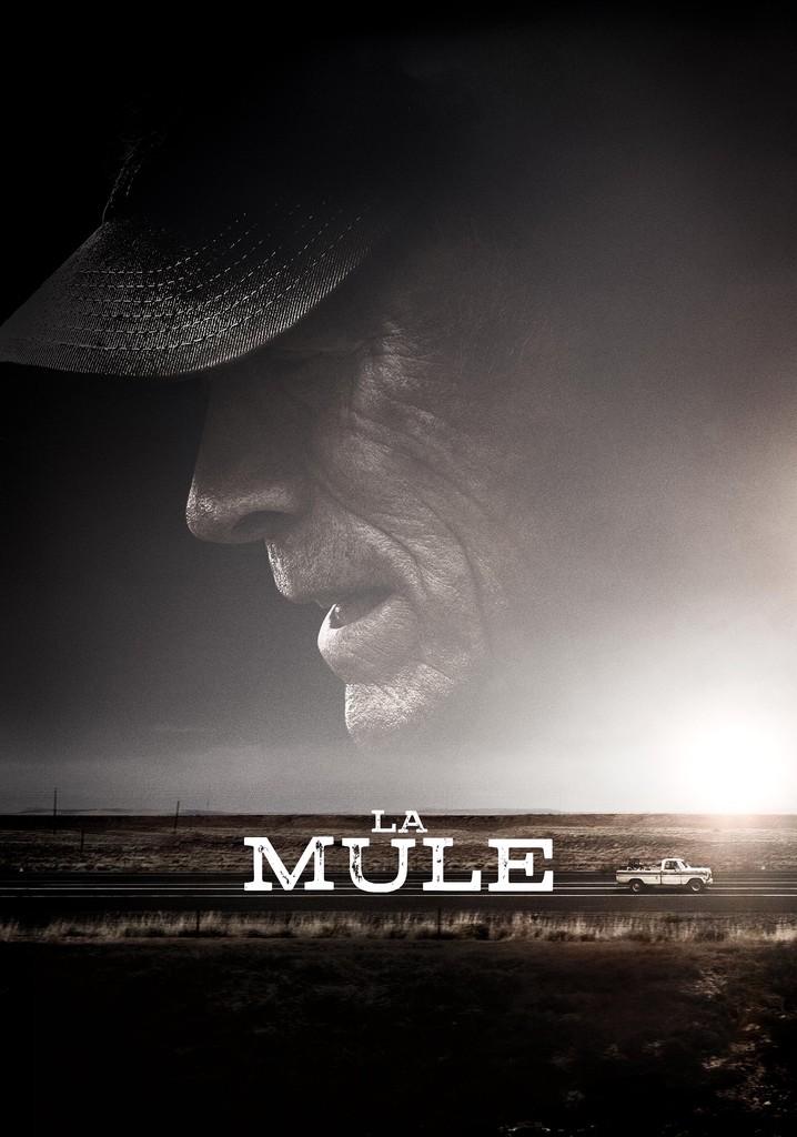 Où regarder La Mule en streaming complet et légal