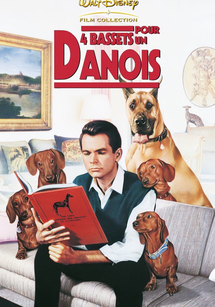 Regarder 4 bassets pour un danois en streaming