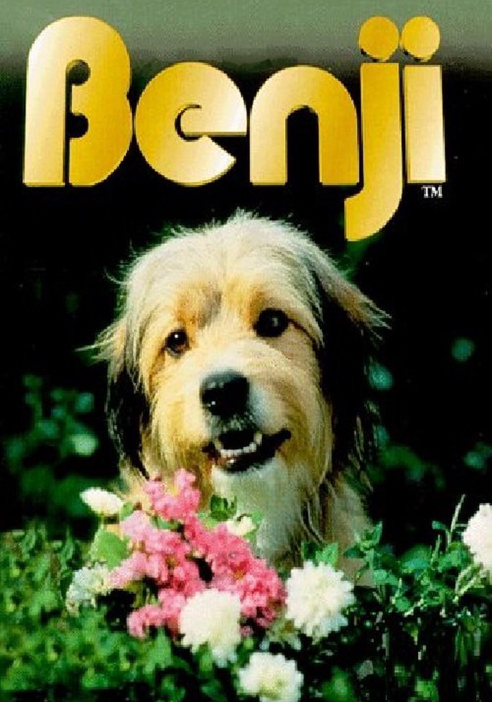 Benji streaming: where to watch movie online?