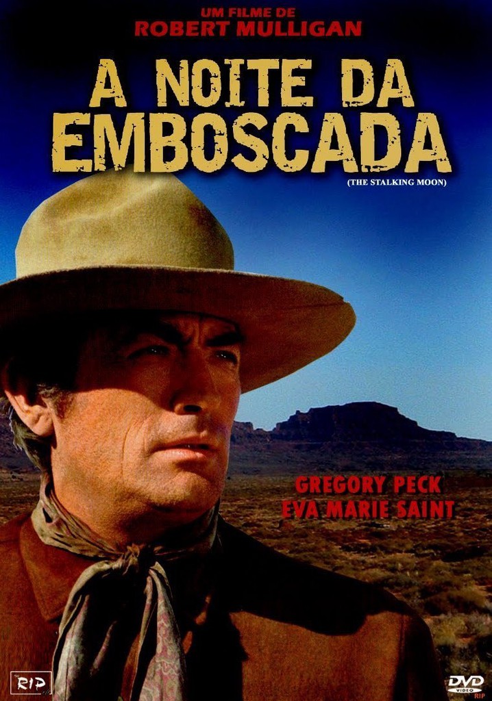 A Noite da Emboscada filme - Veja onde assistir