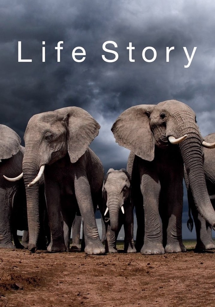 Life Story - watch tv show streaming online