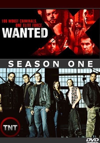 Wanted Tv Series