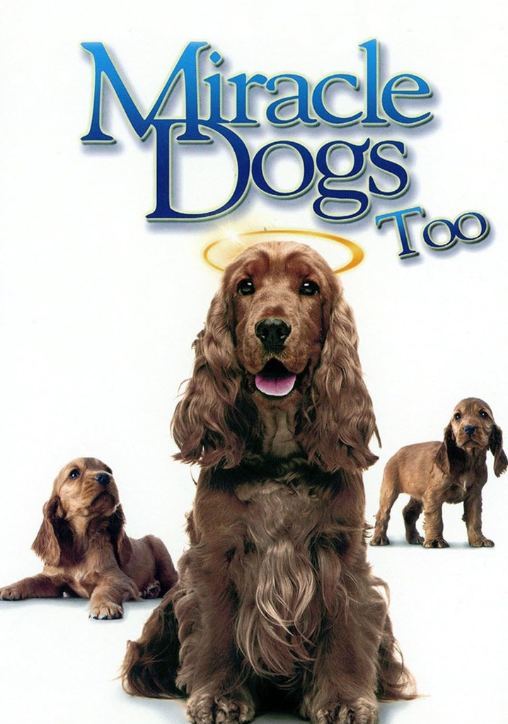 Miracle Dogs Too - movie: watch stream online