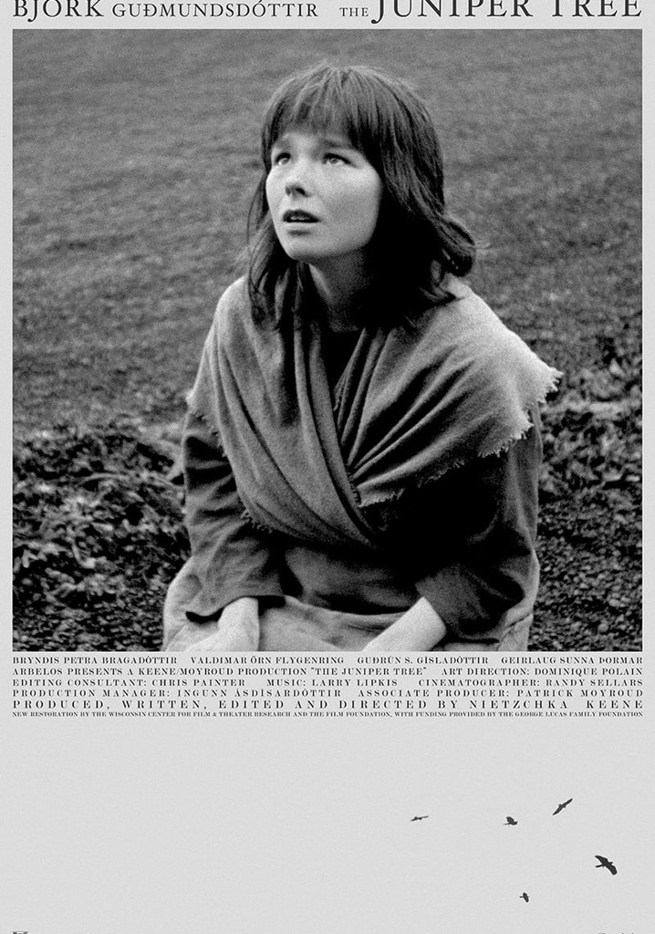 The Juniper Tree streaming: where to watch online?