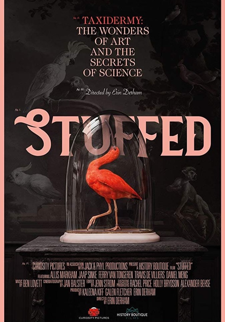 Stuffed streaming: where to watch movie online?
