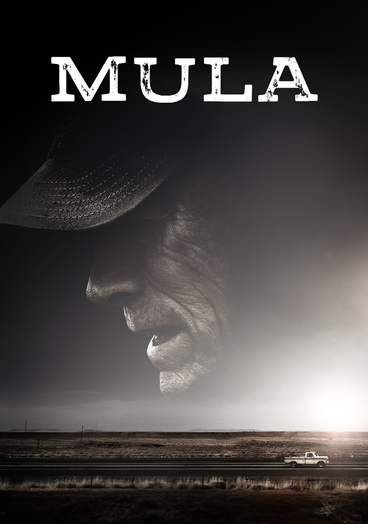 Mula - película: Ver online completas en español