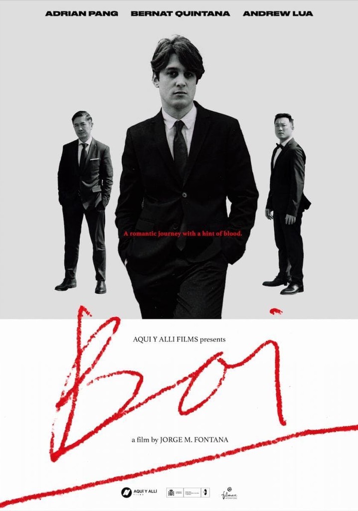 Boi filme - Veja onde assistir online