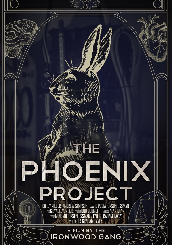 The Phoenix Project streaming: where to watch online?