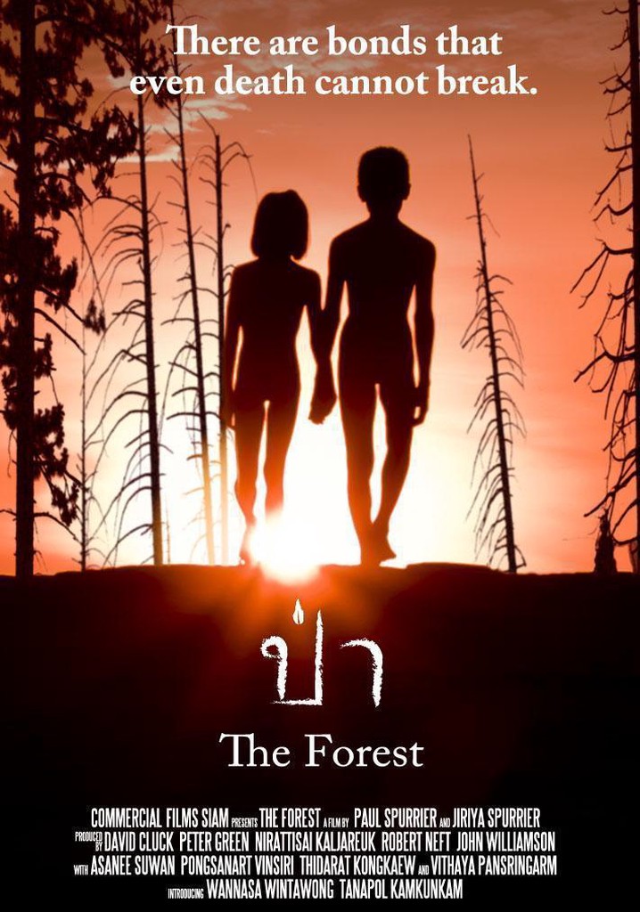 The Forest streaming: where to watch movie online?