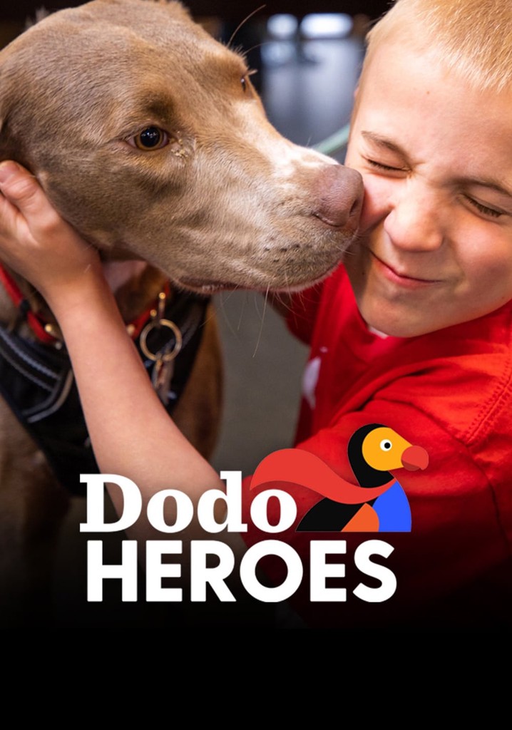 Dodo Heroes Staffel 2 - Jetzt online Stream anschauen