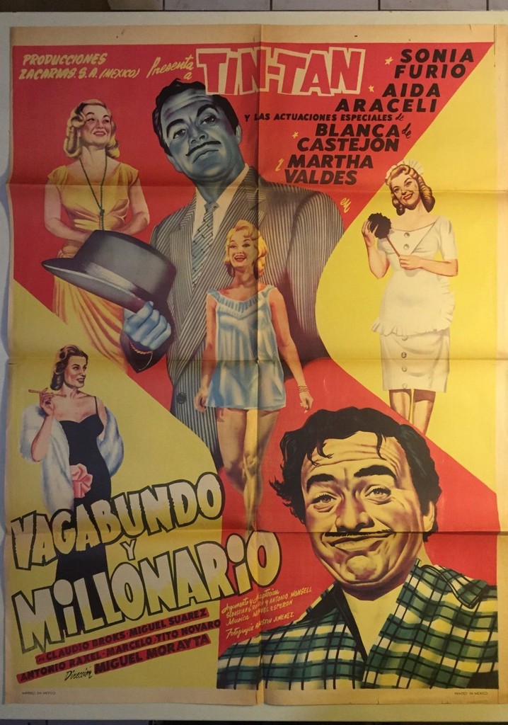 Vagabundo y Millonario streaming: where to watch online?