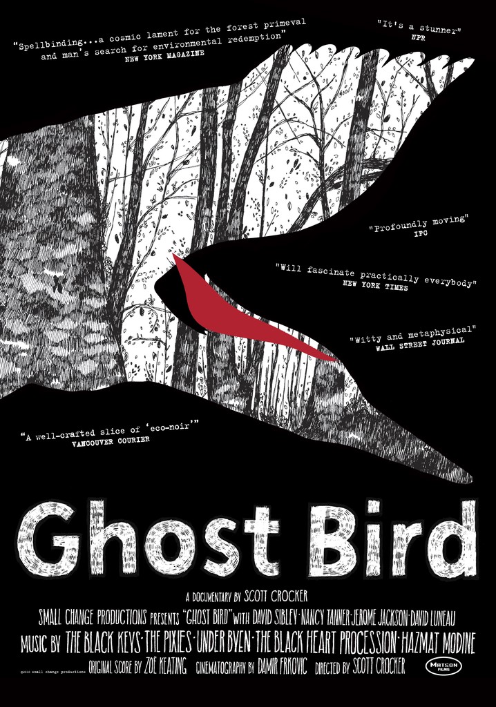 Ghost Bird streaming: where to watch movie online?