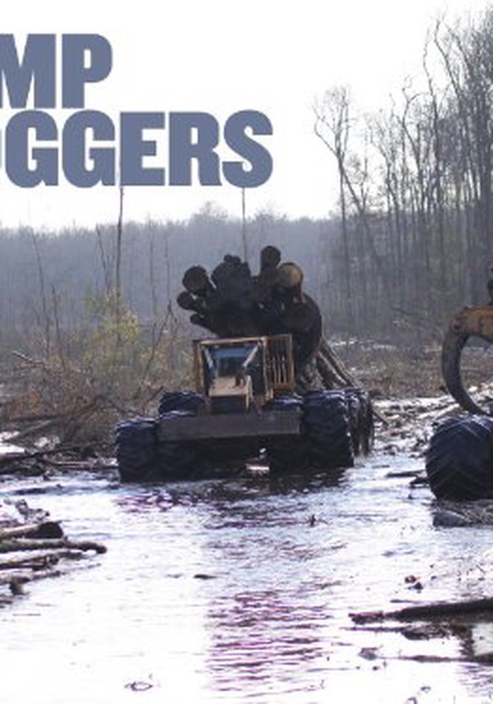 Swamp Loggers - streaming tv show online