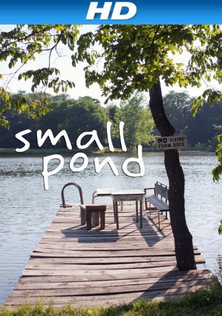 Small Pond streaming: where to watch movie online?