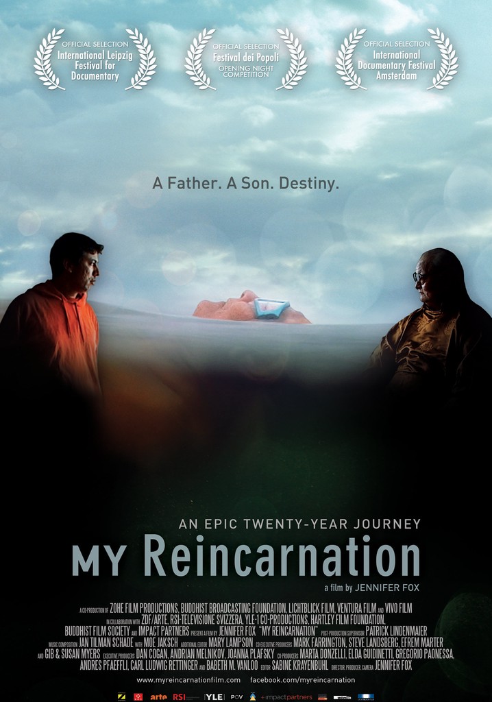 Mi reencarnación - película: Ver online en español