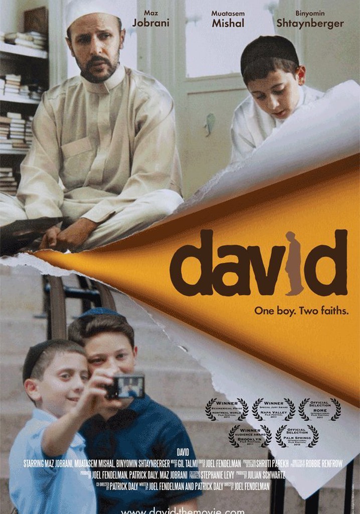 David streaming: where to watch movie online?