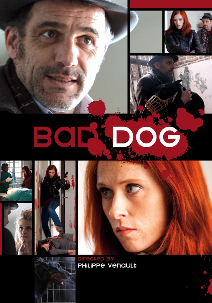 Tango - watch tv show streaming online