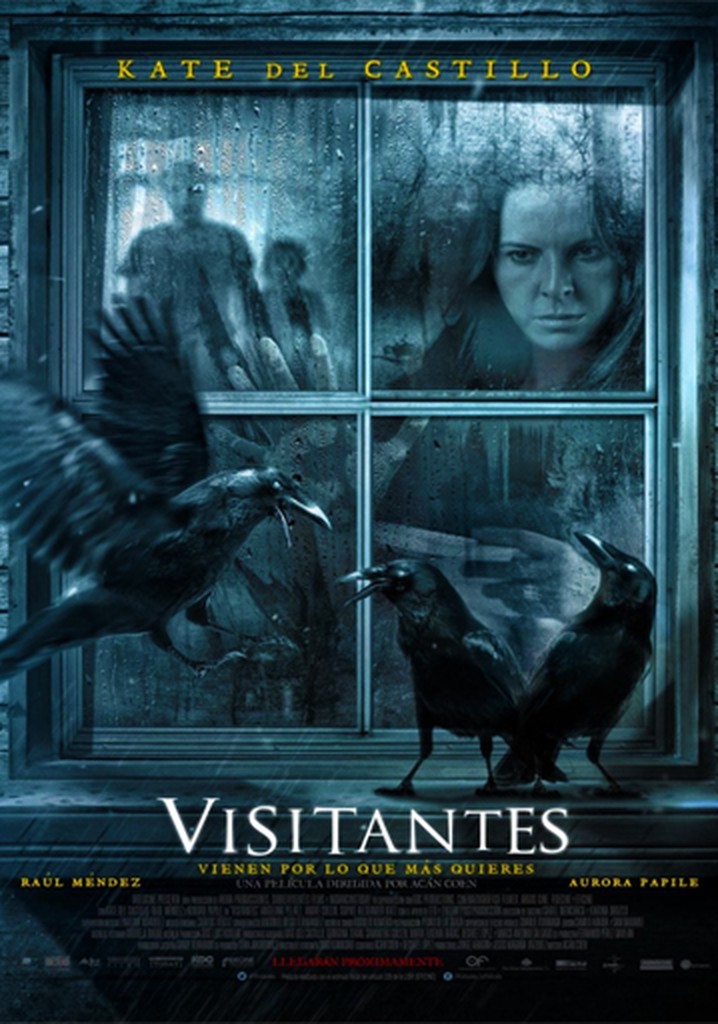 Visitors filme - Veja onde assistir online