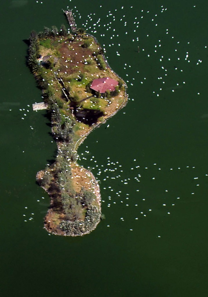 H2Omx streaming: where to watch movie online?