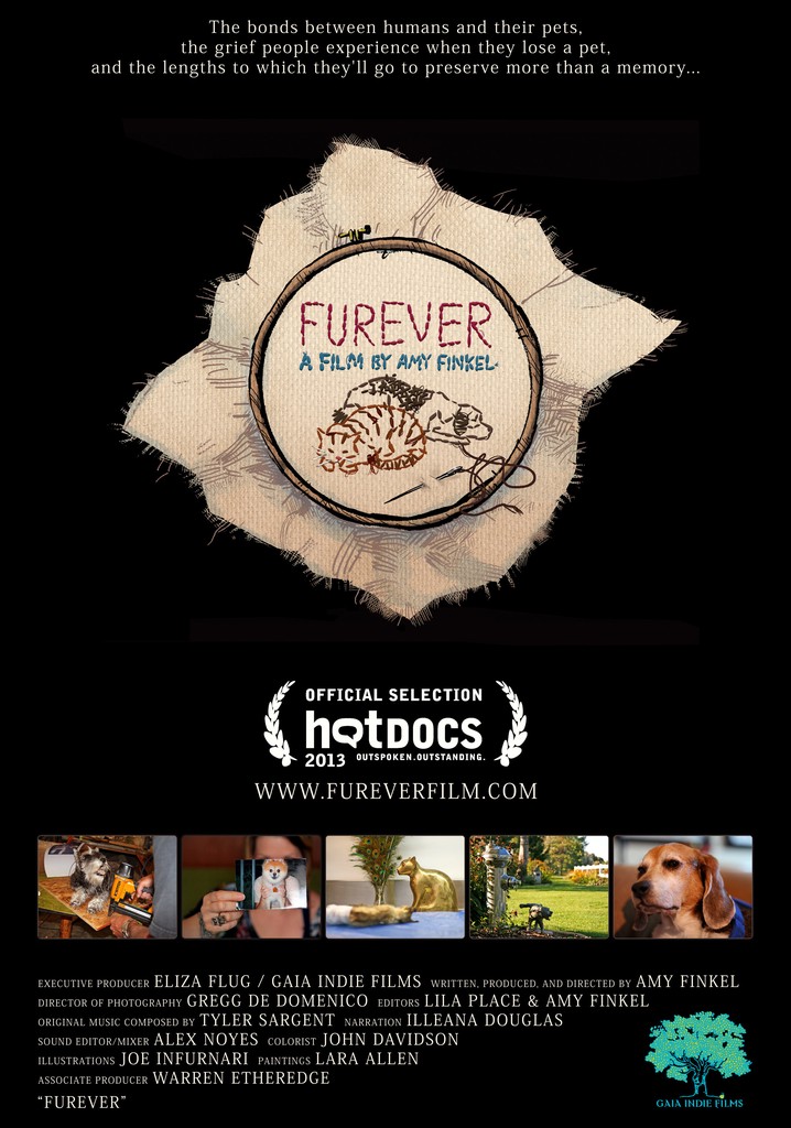 Furever streaming: where to watch movie online?