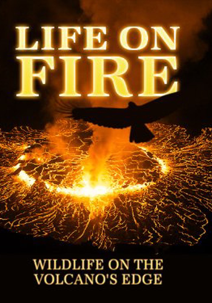 Life on Fire - watch tv show streaming online