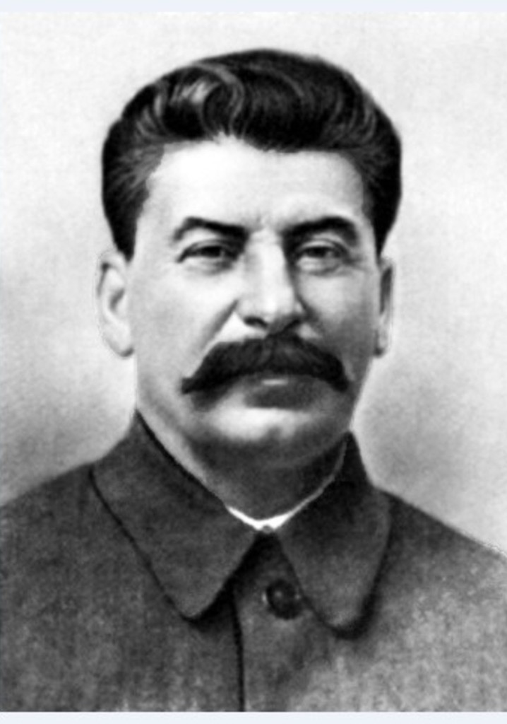 Regarder L'ombre de Staline en streaming complet