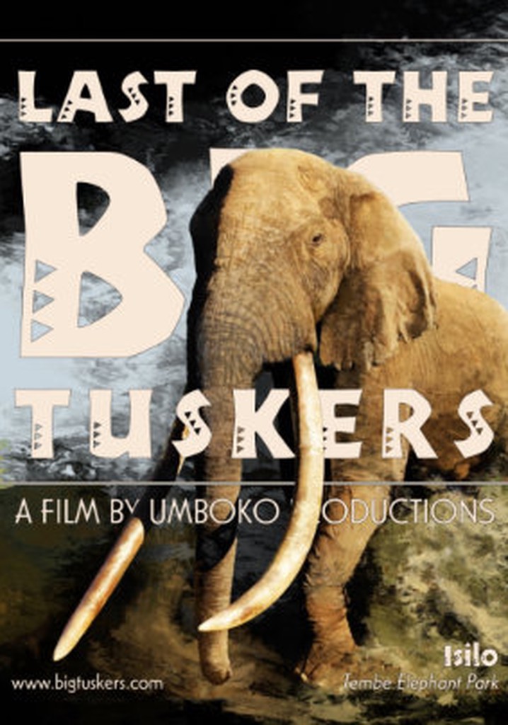 Last of the Big Tuskers streaming: watch online
