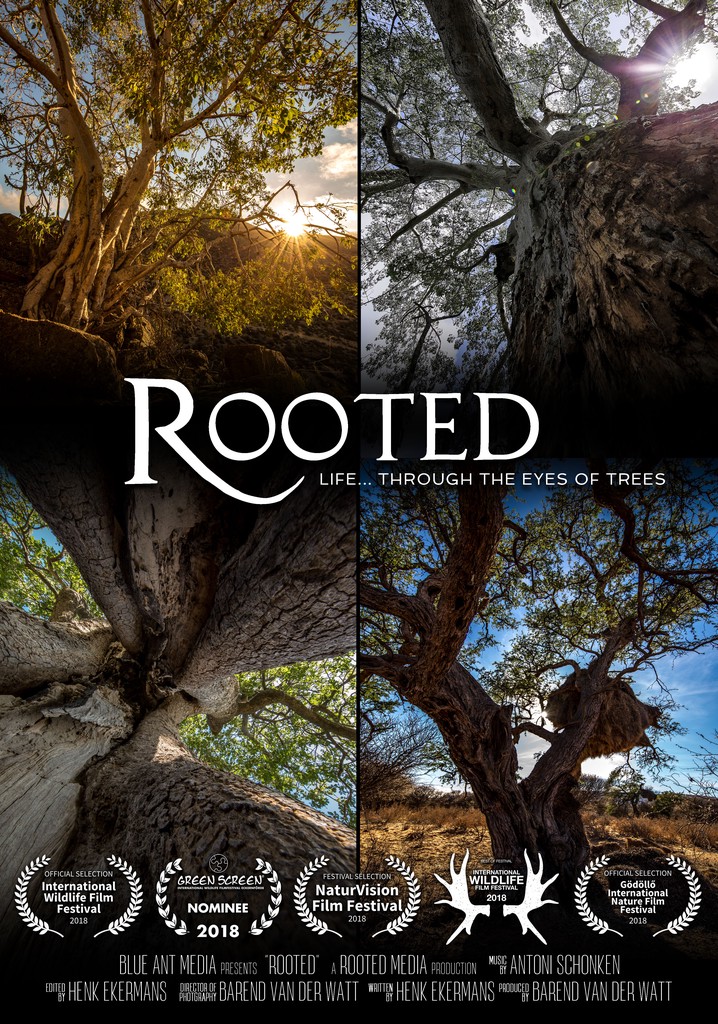 Rooted - watch tv show streaming online