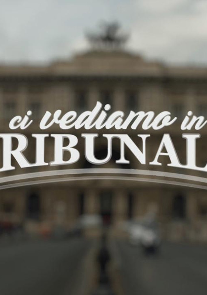 Ci vediamo in tribunale - guarda la serie in streaming