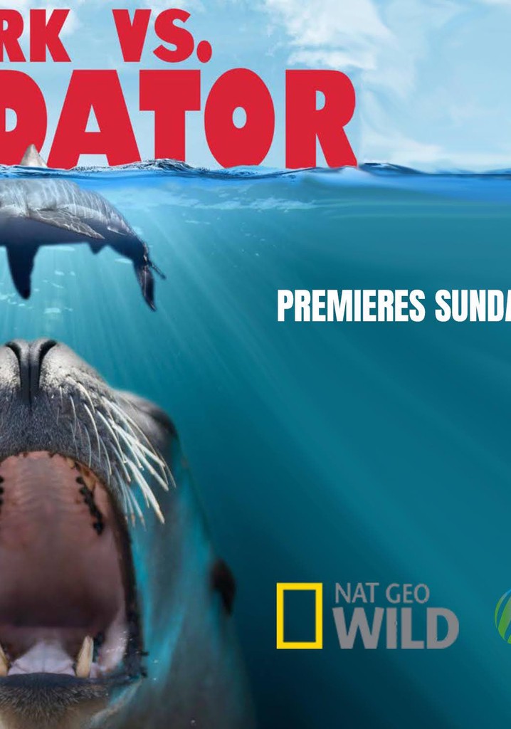 Shark vs Predator - Stream: Jetzt Film online anschauen