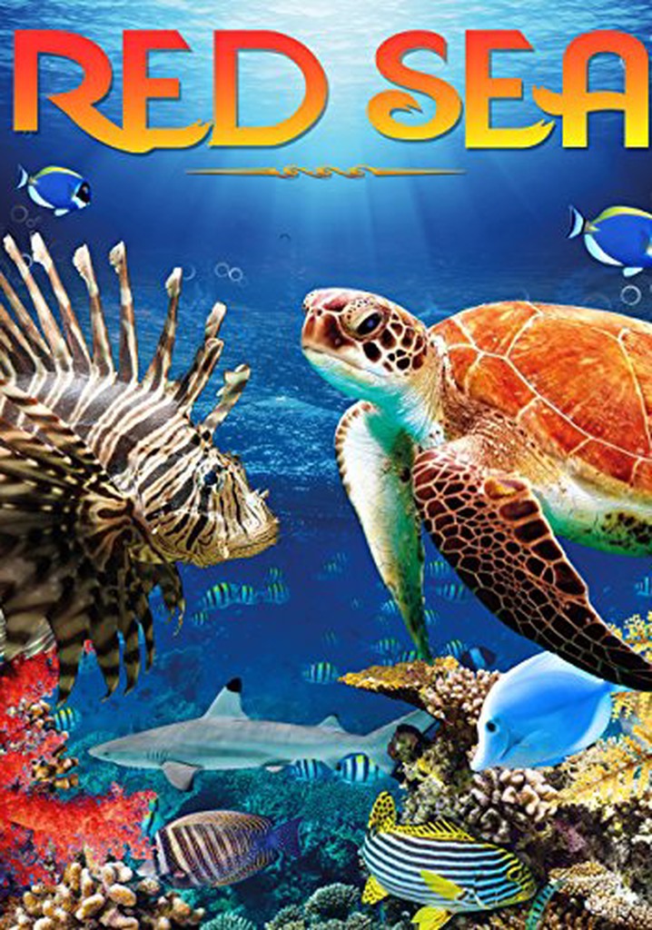 Red Sea - movie: where to watch streaming online