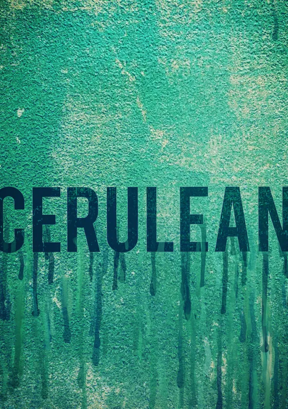 Cerulean streaming: where to watch movie online?