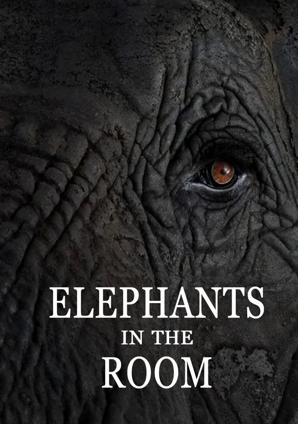 Elephants in the Room streaming: where to watch online?