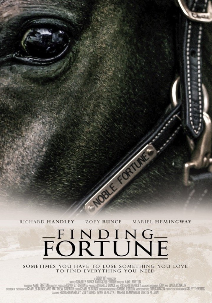 Finding Fortune streaming: where to watch online?