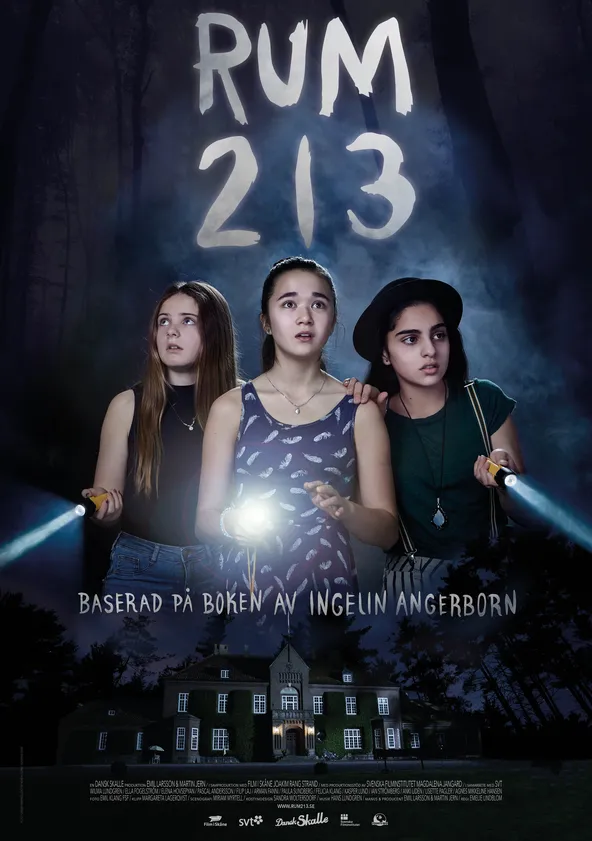 Room 213 - movie: where to watch stream online