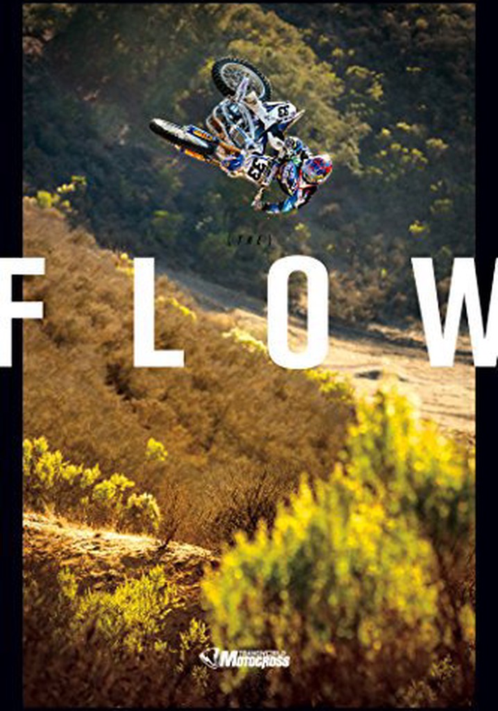 The Flow streaming: where to watch movie online?