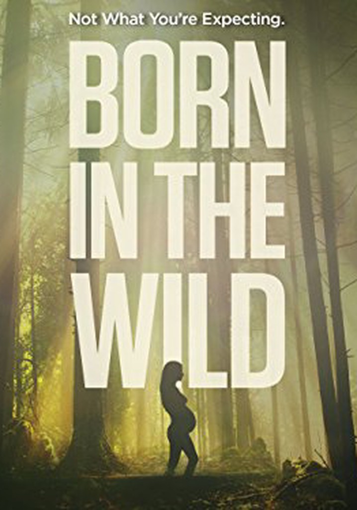 Born in the Wild Season 1 - watch episodes streaming online