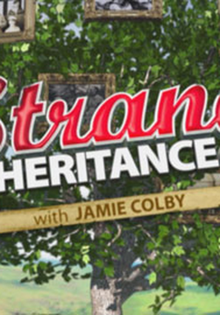 Strange Inheritance - streaming tv show online